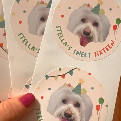 Kids Birthday Stickerpersonalized Birthday Stickercustom Kid Birthday ...