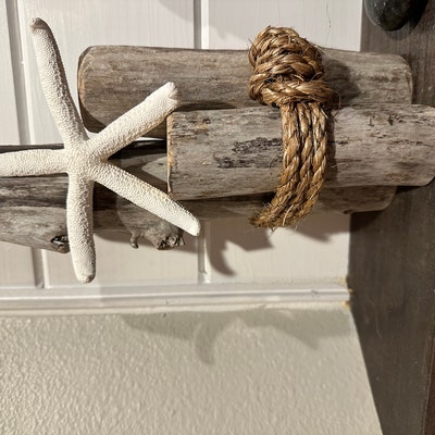 Medium Hebrew Cone Seashells Conus Ebraeus 5 Shells Approx. 1 Inches ...