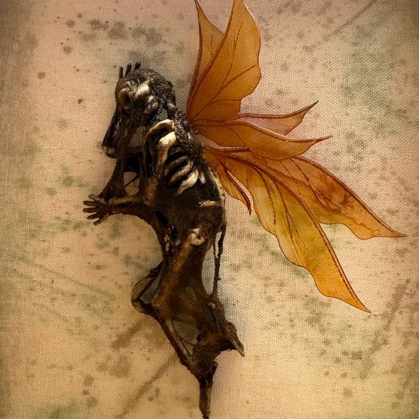 Dead Fairy Display Case - Etsy