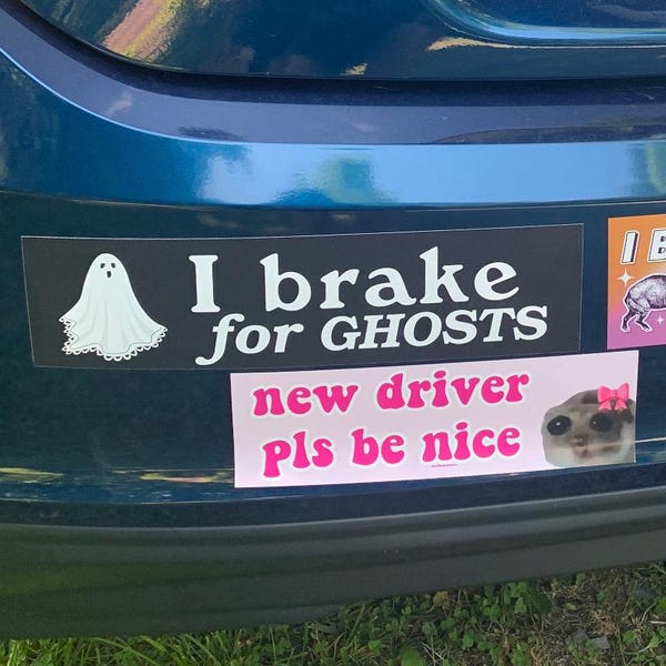 New Driver Pls Be Nice | Bumper Sticker AND Magnet | Funny Meme Sticker ...