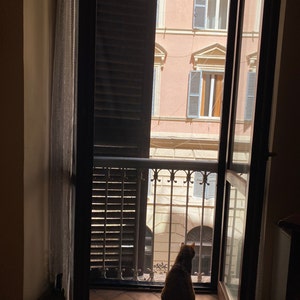 Small Custom Flat Cats Window Screens Mesh Window Protection for Cats ...