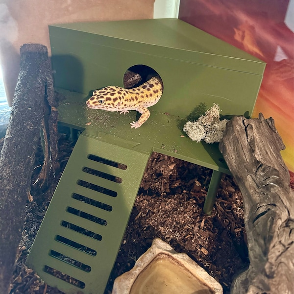 3D Reptile Hide - Corner Bi Level Suite - Etsy