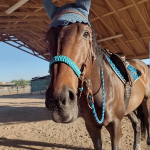 Headstall Braided From Paracord You Choose the Color and Size | Etsy