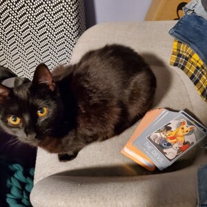 Tarot Cats a 78 Card Cat Fan Tarot Deck 4TH Printing of the Deck Now ...