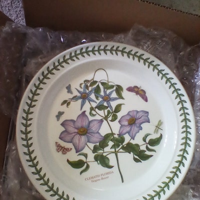 Antique Warranted Ironstone China Ott & Brewer, Etruria Pottery Works ...