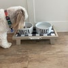 Modern Elevated Dog Feeder Pretty Girl Dog Bowl Stand Personalized ...