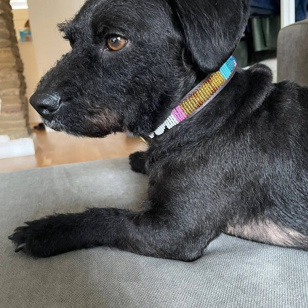 Beaded Flowery Food Covers From South Africa - 4 Sizes - Etsy UK