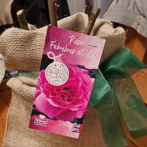 Rose 'fantastic at 60' Happy Birthday Rose Gift Wrapped With Huge Bow ...