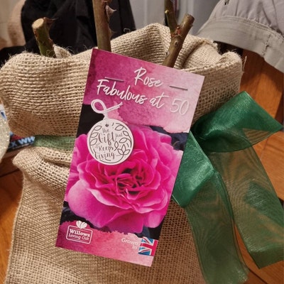 Silk Wedding Rose 12th Anniversary Rose Bush Gift Wrapped Silk ...