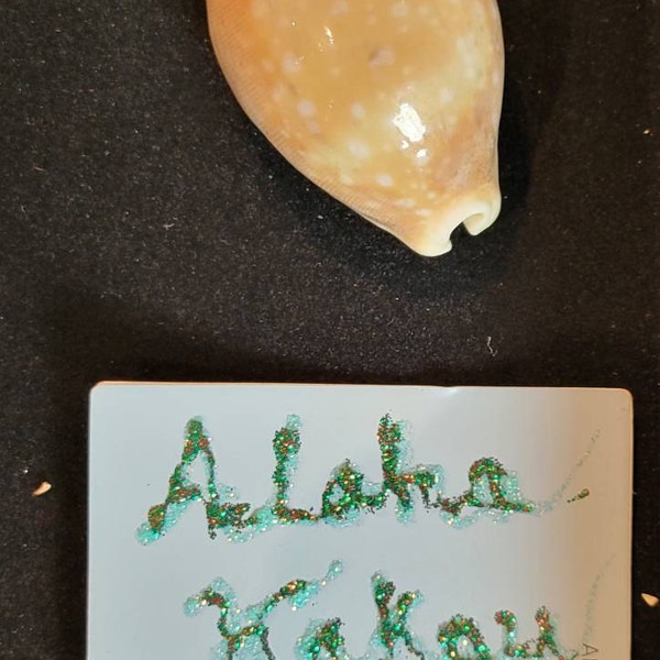 Hawaiian Opihi Limpet Shells 9 XL for Pendants From Kauai - Etsy