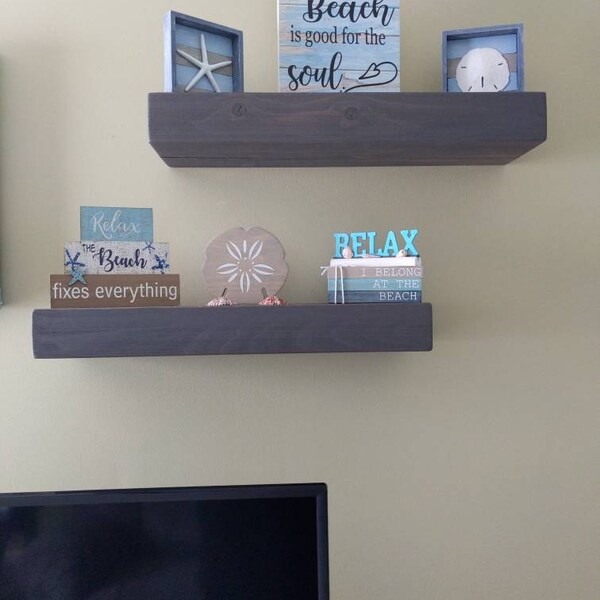 30 Southwest Florida Scallop Seashells - Etsy