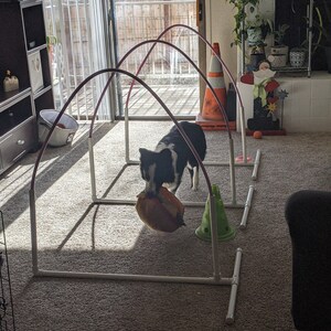 Dog Agility Equipment Construction Instruction Booklet - Etsy