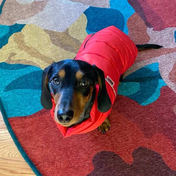 Dogs Clothes, Warm Jacket for Beagle, Warm Jacket, Clothes for Big Dog ...