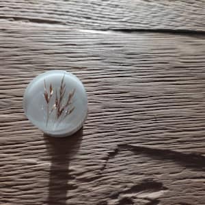 Square Honey Knobs With Dried Grass Transparent Handles Fit - Etsy