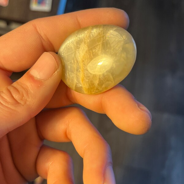 Rose of Jericho Resurrection Flower Crystal Confetti Add on Plant ...