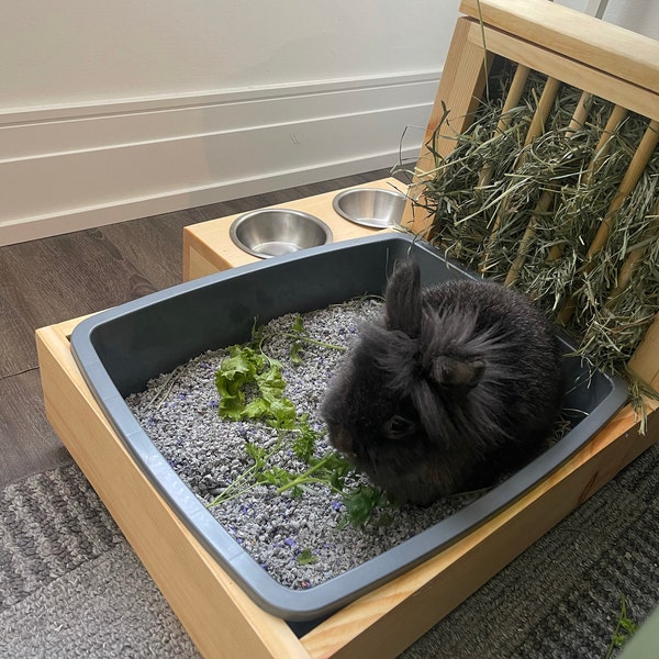 Rabbit Hay Feeder, Dowel Hay Rack, Bunny Hay Feeder With Litter Box ...