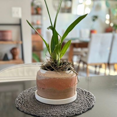 Blue Ridge Planter Desert Pot Handmade Pottery Boho Concrete Gift ...