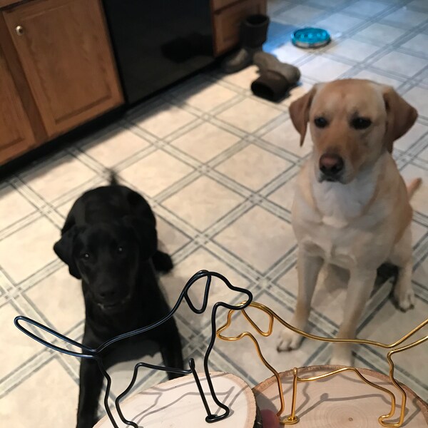 Wire Sculpture of Labrador Retriever, Golden Retriever, Personalize ...