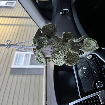 Crochet Car Plant Pothos PATTERN ONLY Pamelambie Tiktok - Etsy