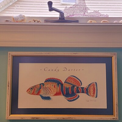 24x36 Offshore Fishes of the Atlantic & Gulf of Mexico Poster, Offshore ...