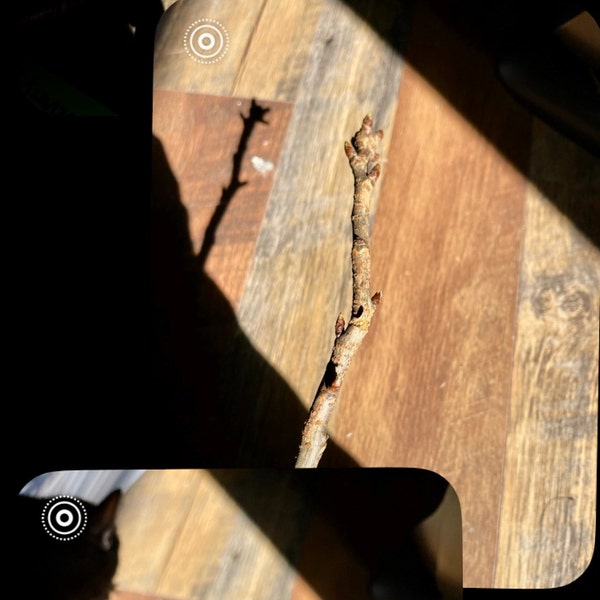 Vintage Indiana Tractor License Plate Vintage Plate, Old License Plate ...