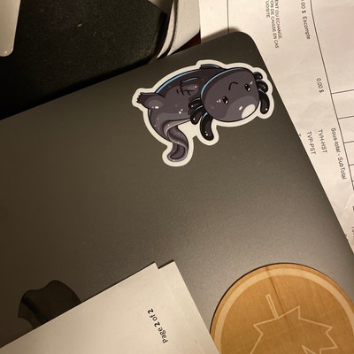 Black Axolotl Stickers Cute Animal Decal for Boys, Girls, Kids ...