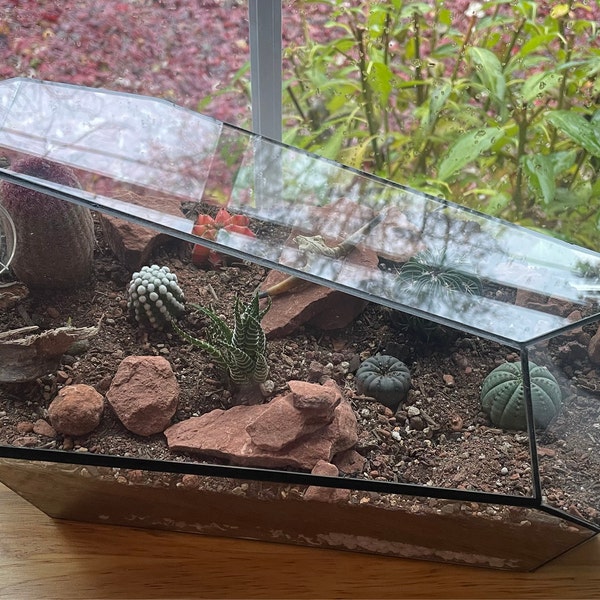 Waterproof 18 Inches Geometric Terrarium Galaxius - Stunning Parametric ...