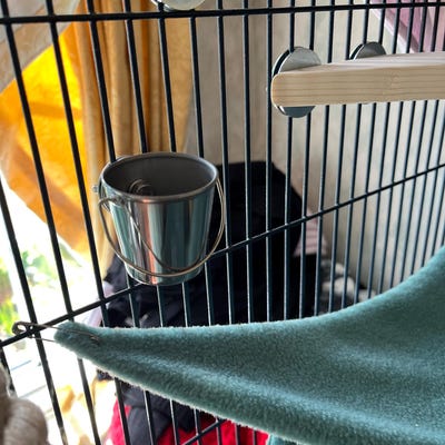 2 in 1 Perch Natural Wood Perch and Swinging Pine Dowel Perch With ...