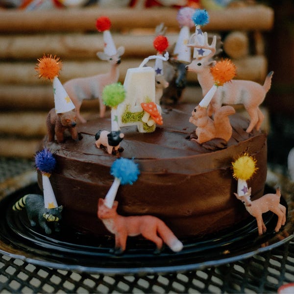 Pet Birthday Candle | Alphabet Birthday Candle | Soy Wax Birthday ...