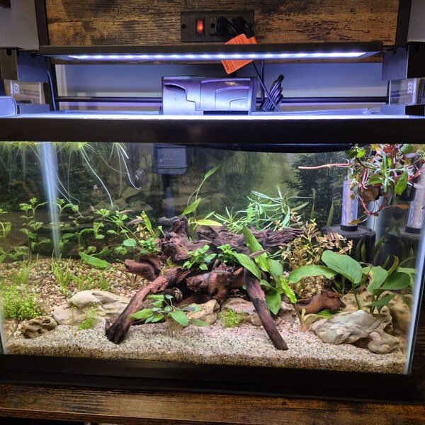 Finnex Stingray Original LED Light Riser, Attractive Stable Elevated ...