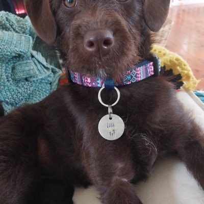 Tiny Pet Id Tag Engraved Dog Name Tag Dog Tag Small Dog Tags for Dogs ...