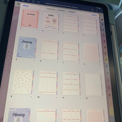 Undated Digital Planner Goodnotes, iPad Planner, Notability Planner ...