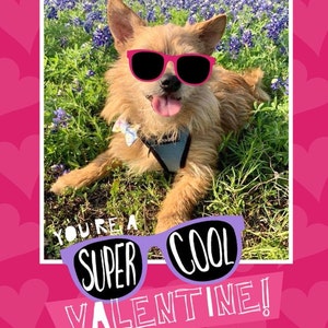 INSTANT DOWNLOAD Hippie Flower Power Chip Bag Printable | Etsy