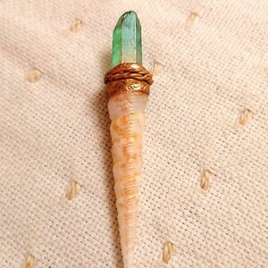 White Screw Shells 3-8cm Unicorn Horns Spiral Shell Beach Wedding ...