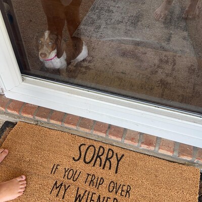 Doormat No Admittance Except on Party Business, Welcome Doormat, Nerdy ...
