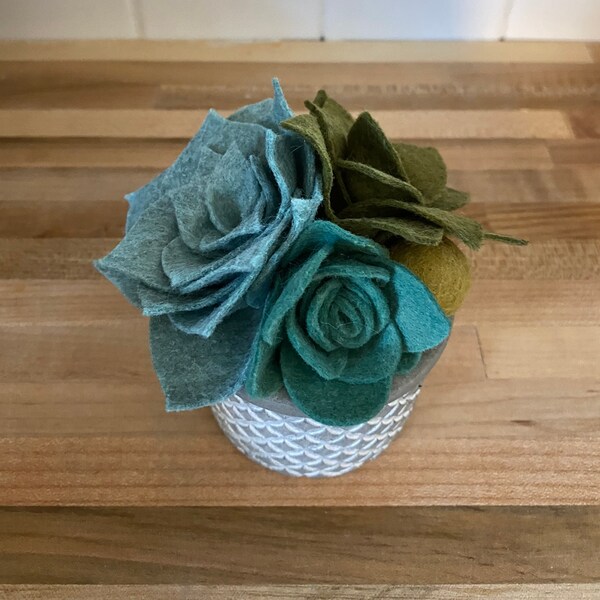 Felt Succulent Craft Kit - Etsy