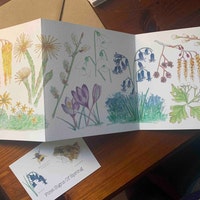Spring Hope Concertina Card • Spring Birthday • Nature Journal Card ...