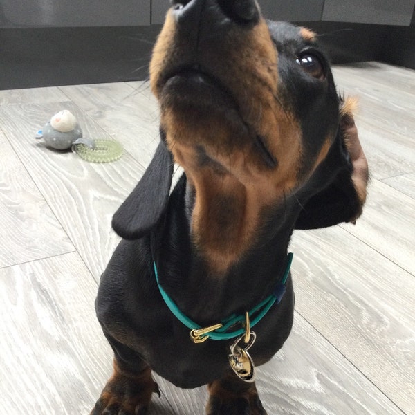 Dachshund Sausage Dog Hand Stamped Handmade Dog Tag #poshtags Collar ...