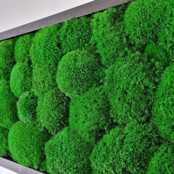 Moss Picture Ball Moss Solid Wood Frame Oiled Oak Moss Landscape - Etsy