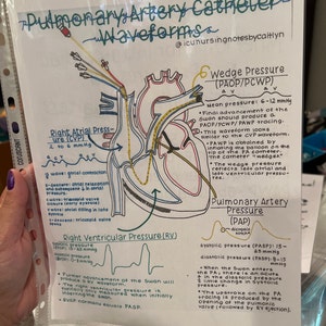 Midlines Vs. PICC Lines - Etsy