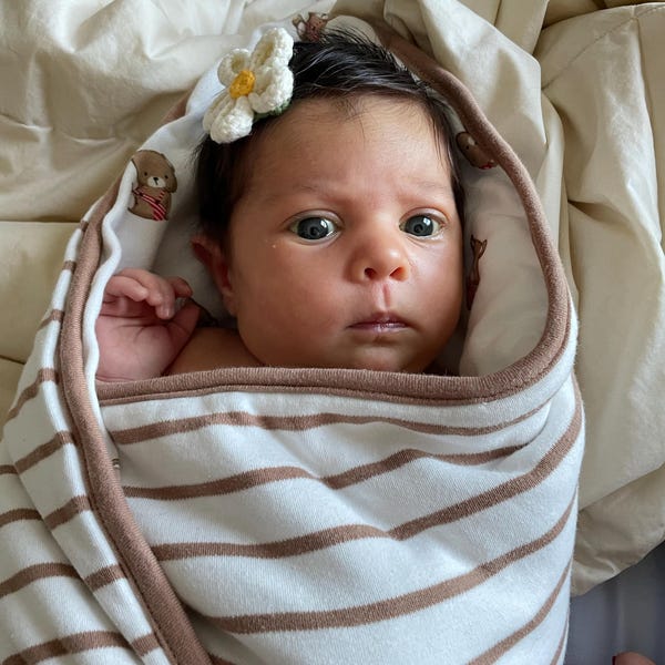 Floral Hair Clip Daisy Hair Clip Daisy Hair Snap Daisy Hair Barrettes ...