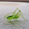 Grasshopper Glass Miniature, Migratory Locust Animals Glass, Hand Blown ...