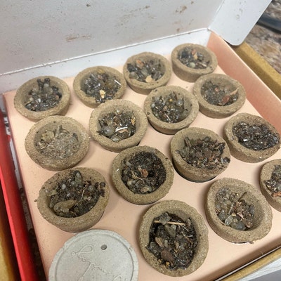 Havan Cups 15 CUPS With FREE Holder, Made With Flowers and Herbs 100% ...