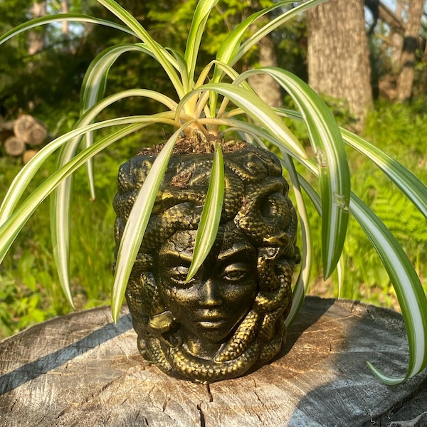 Hand-painted Concrete Medusa Head Planter | Small Greek Mythology ...
