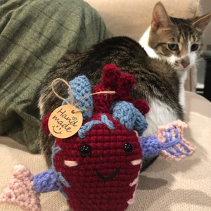 Educational Science Toy Biology Toy Gift for Kids Plushie Amigurumi ...