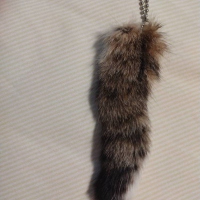 Genuine Bobcat Tail Keychain CHOOSE SIZE - Etsy
