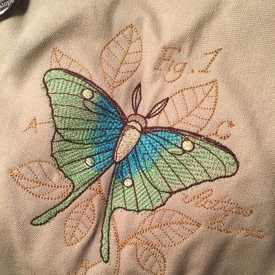 Miniature Menagerie Luna Moth Diagram Embroidered Canvas Messenger Bag ...