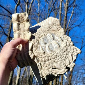 Salmon Fish Skin Leather Bordeaux | Etsy