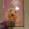 Red/golden Cockapoo Christmas Card - Etsy