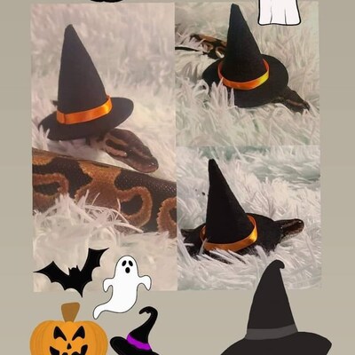 Hissy Halloween // Mini Black Witches Hat for Snakes Reptiles Pets ...